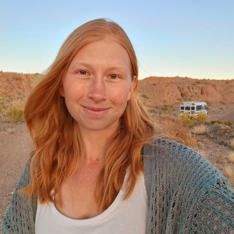 Organizers/Coordinators – Skooliepalooza(R)